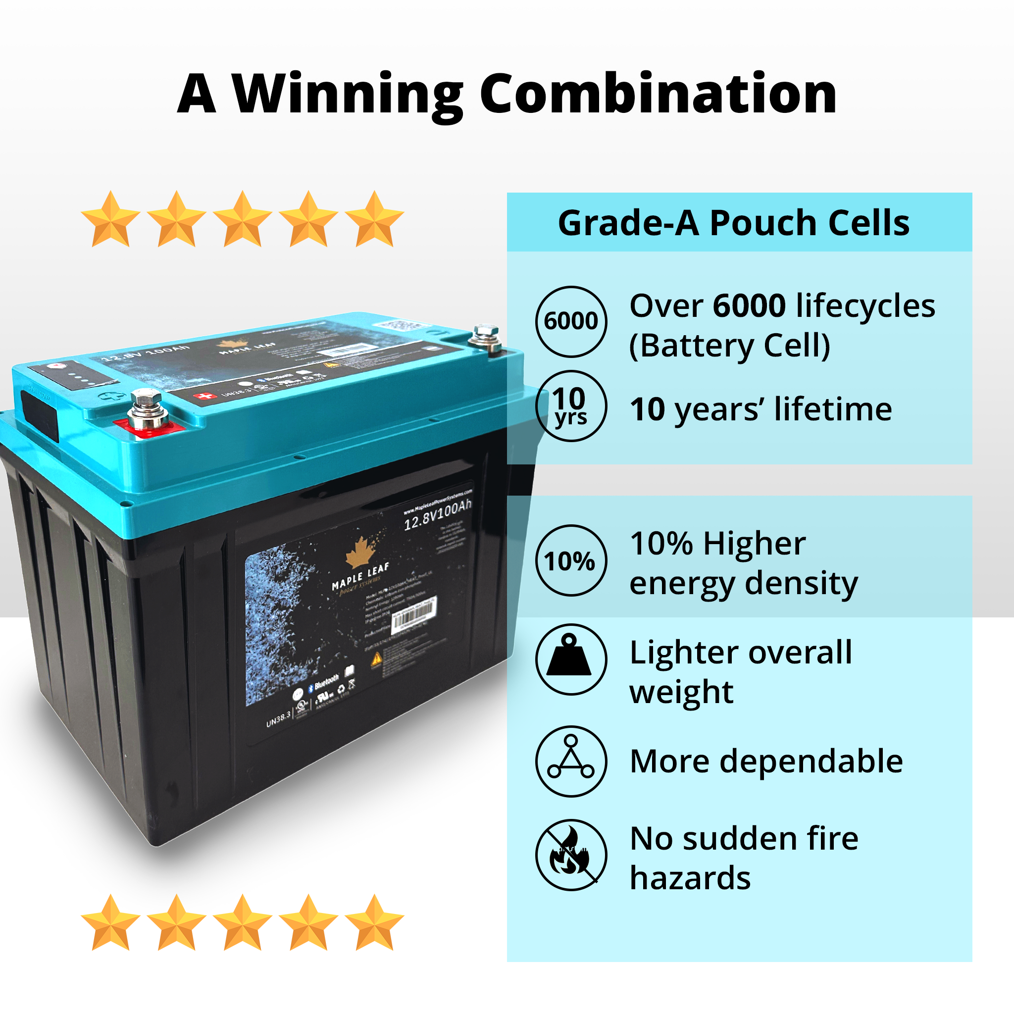 Maple Leaf 12V 200AH Lithium Iron Phosphate Battery W/ Self-Heating Fu – MapleLeafPowerSystems