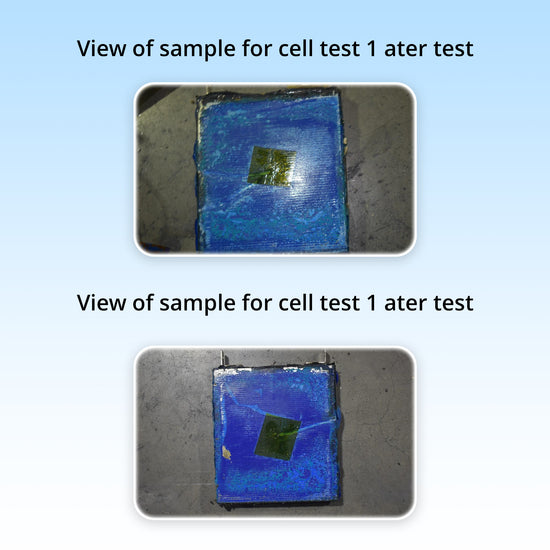Maple Leaf 12V 100AH Lithium Iron Phosphate Battery W/ Self-Heating Fu ...