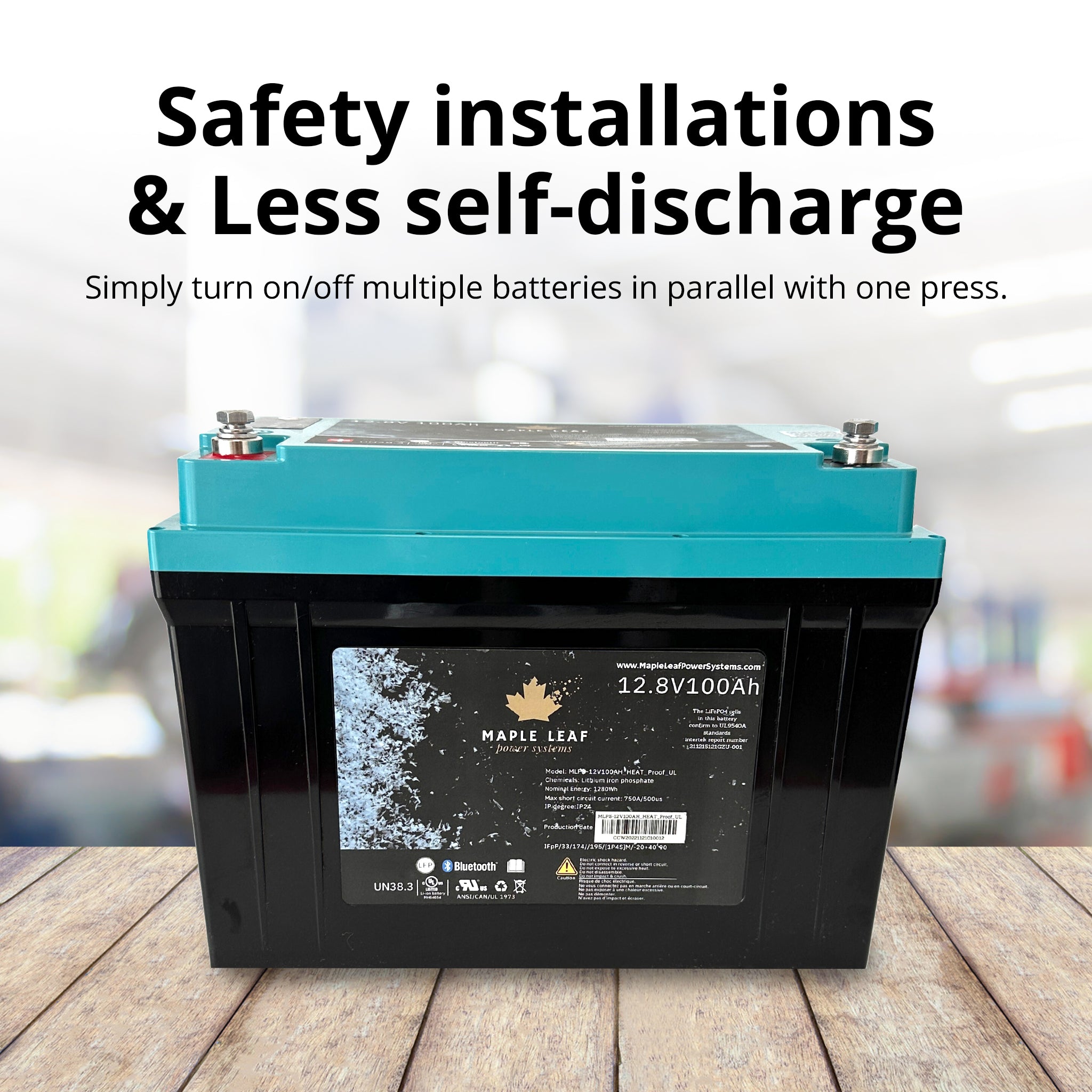 Maple Leaf 12V 100AH Lithium Iron Phosphate Battery W/ Self-Heating Fu ...