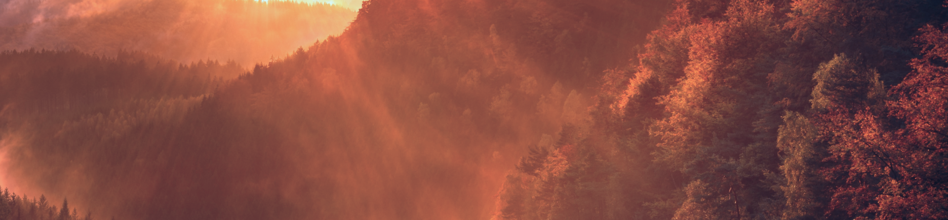 About – MapleLeafPowerSystems